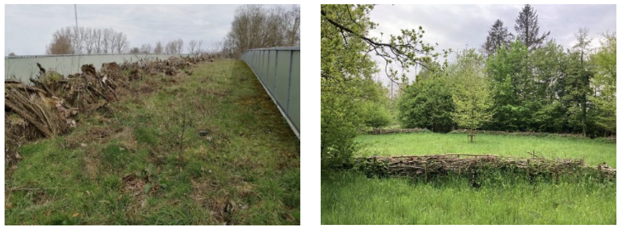 De nieuwe Ravaartstraat: een groen juweeltje voor fietsers, wandelaars ...